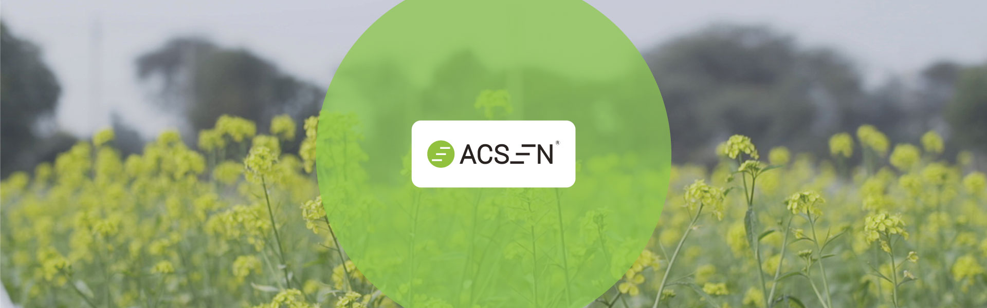 Mustard - ACSEN Agriscience